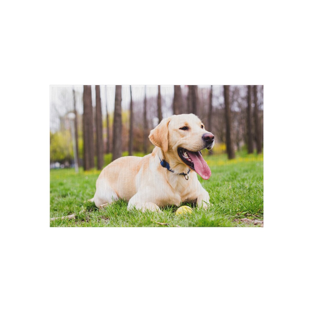 Labrador Outdoor Rug - Etsy