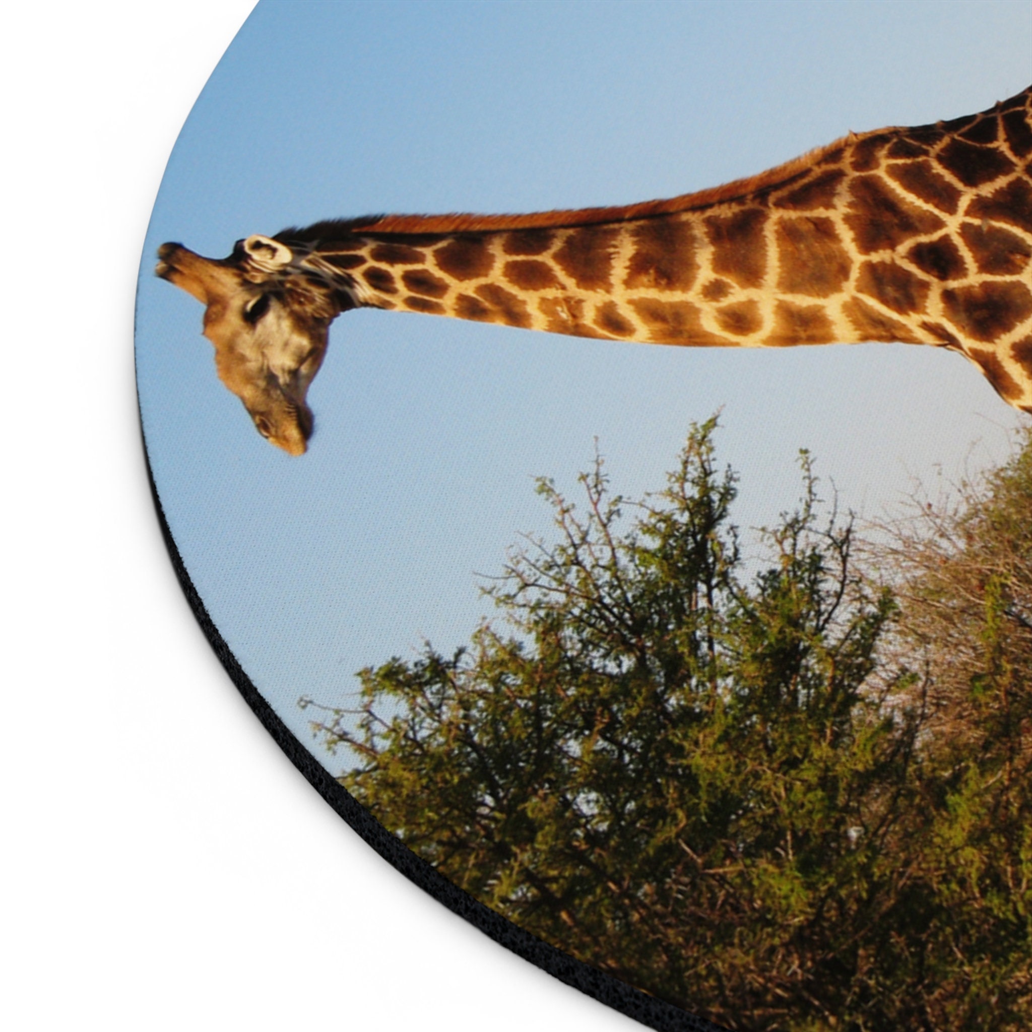 Giraffe Mouse Pad - Etsy