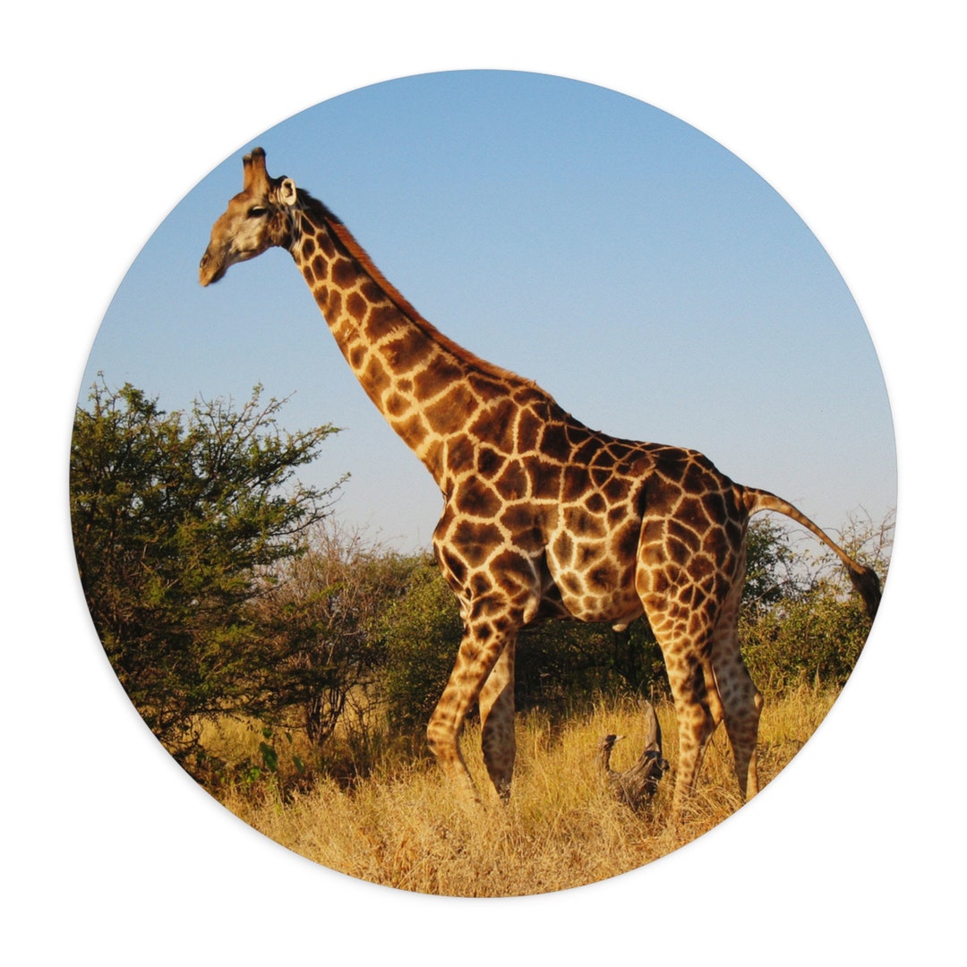 Giraffe Mouse Pad - Etsy