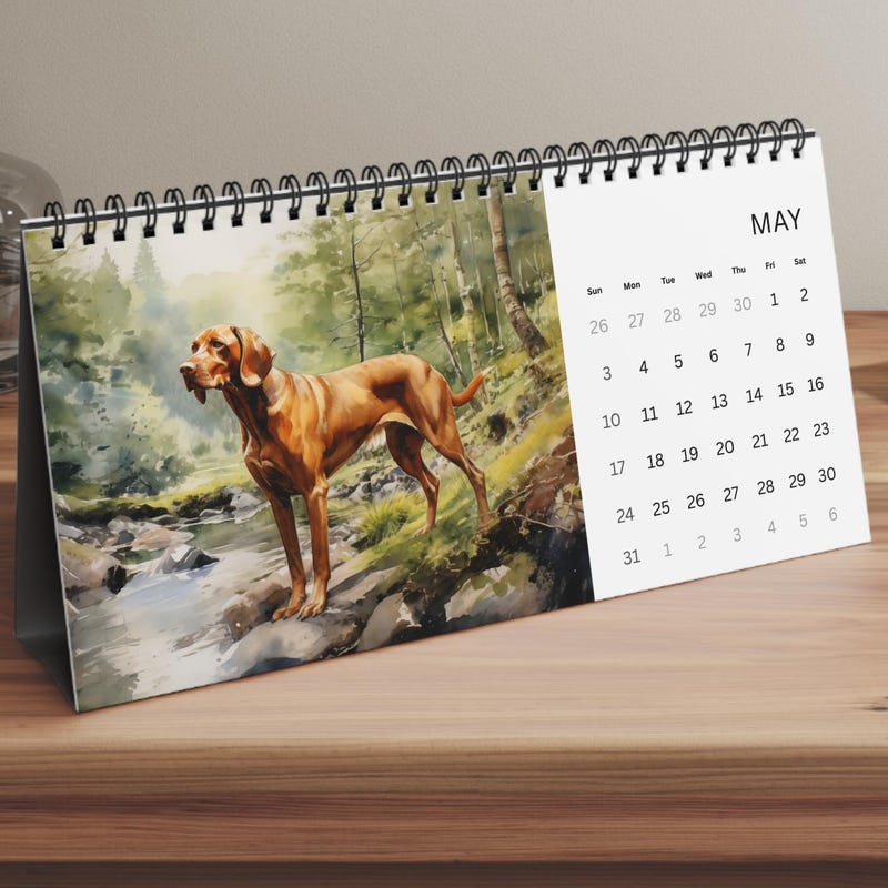 Painting Vizsla Watercolor - Etsy