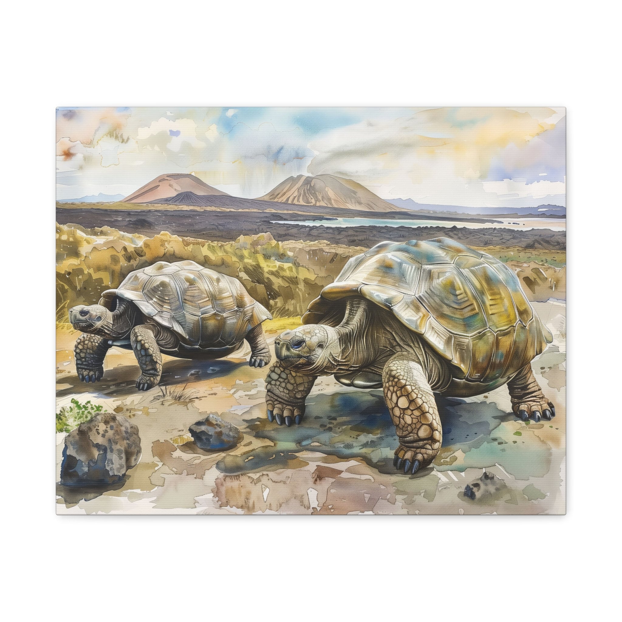 Giant Tortoises Watercolor Printed on Canvas - Frameless Wall Art Gift ...