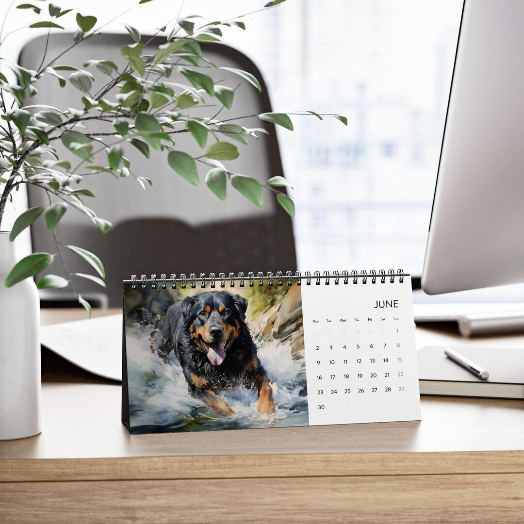 Rottweiler Desk Calendar 2025 Gift for Rottweiler Owner, 12 Beautiful ...