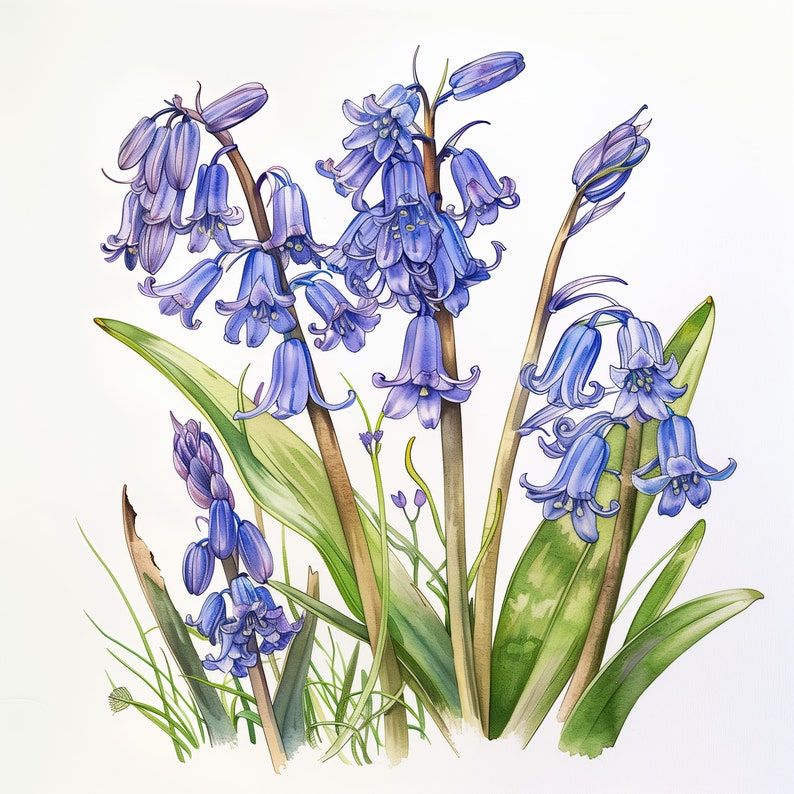 Wildflowers Art Bundle - 20+ Images of Wildflowers - Etsy