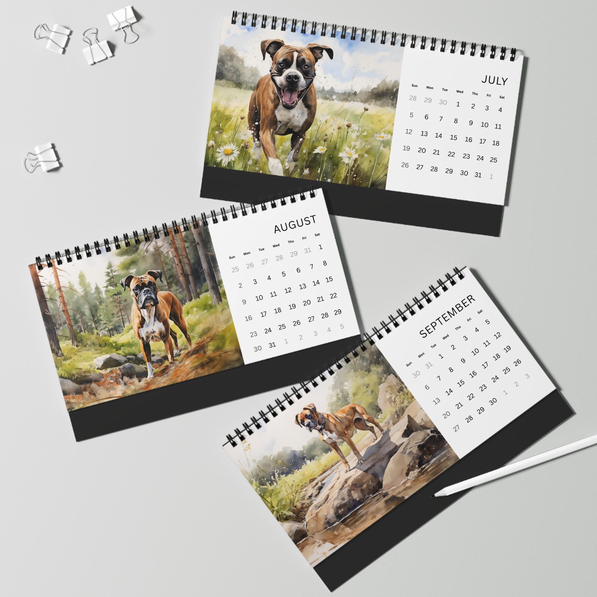 Boxer Dog Desk Calendar - 12 Watercolor Artworks - Printed in USA - Etsy