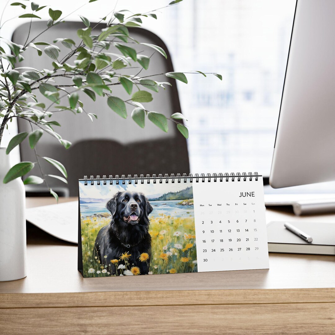 Newfoundland Desk Calendar Desk Calendar Featuring 12 Watercolors of ...