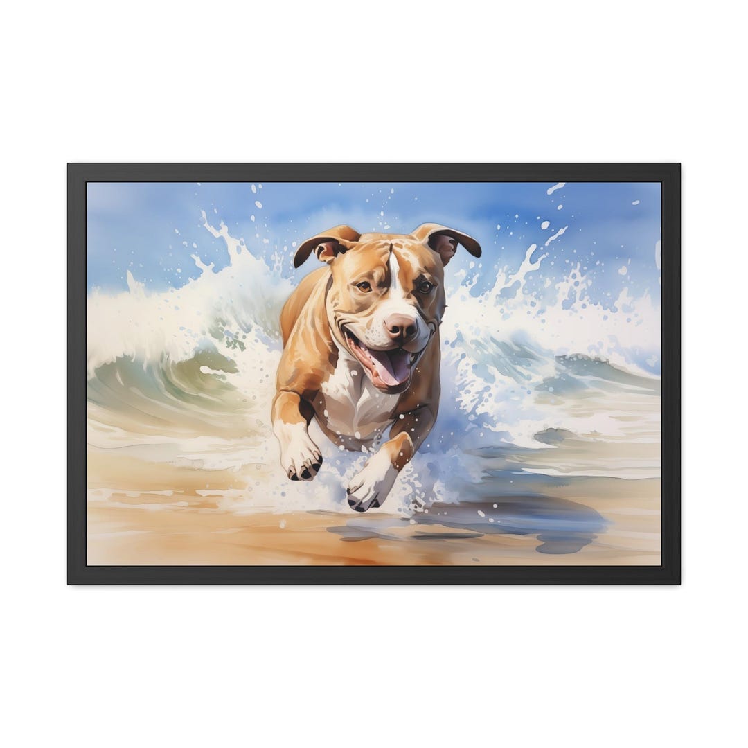 White Chested Pitbull in Surf Framed Poster - Handcrafted Black Wood ...