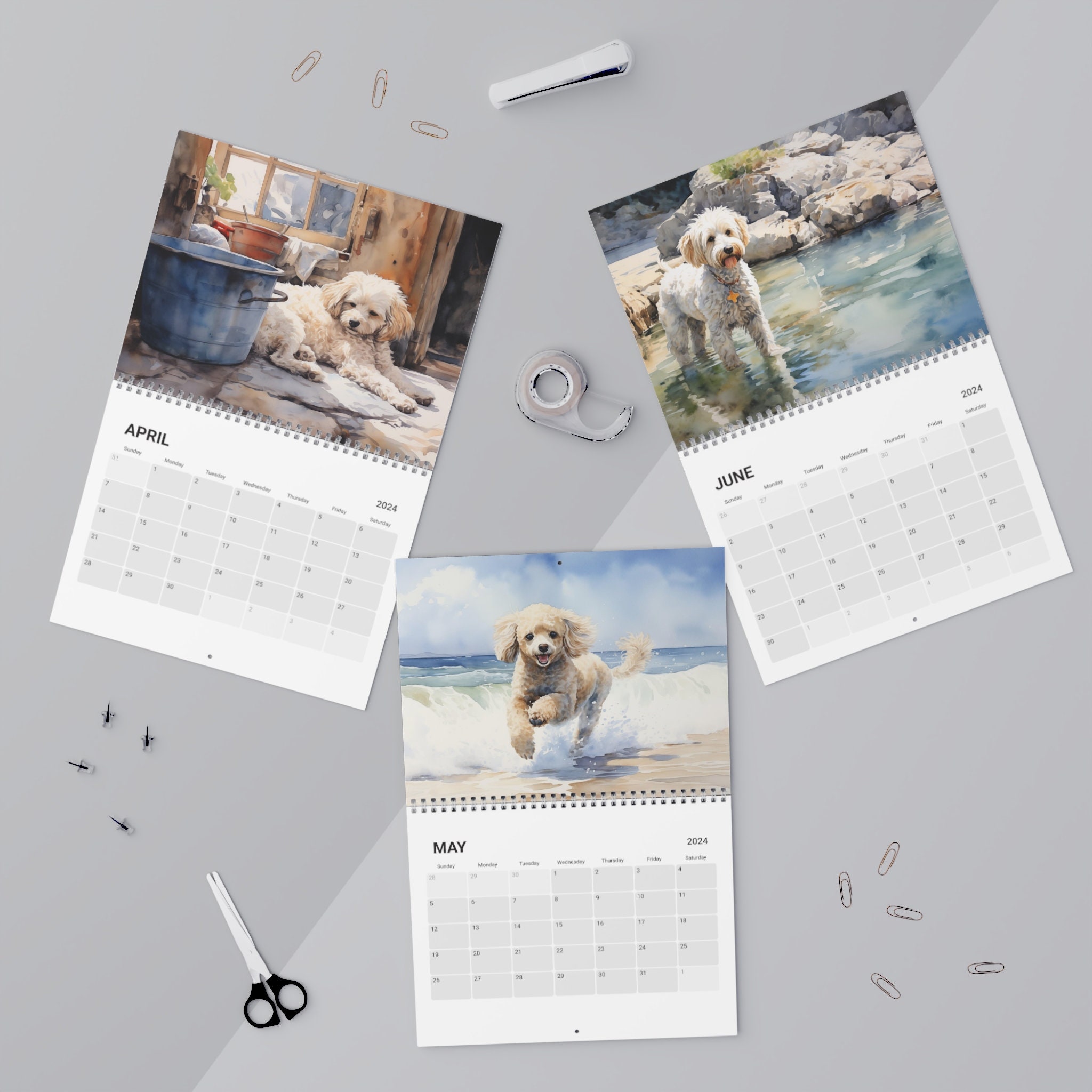 Poodle Calendar 2024 Ideal Gift for Poodle Owner, a Wall Calendar ...