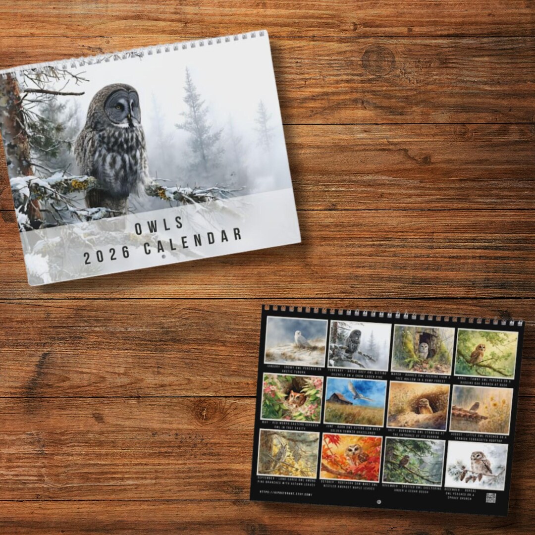 2026 Owl Wall Calendar - Bird Art Monthly Watercolor Prints for Owl ...