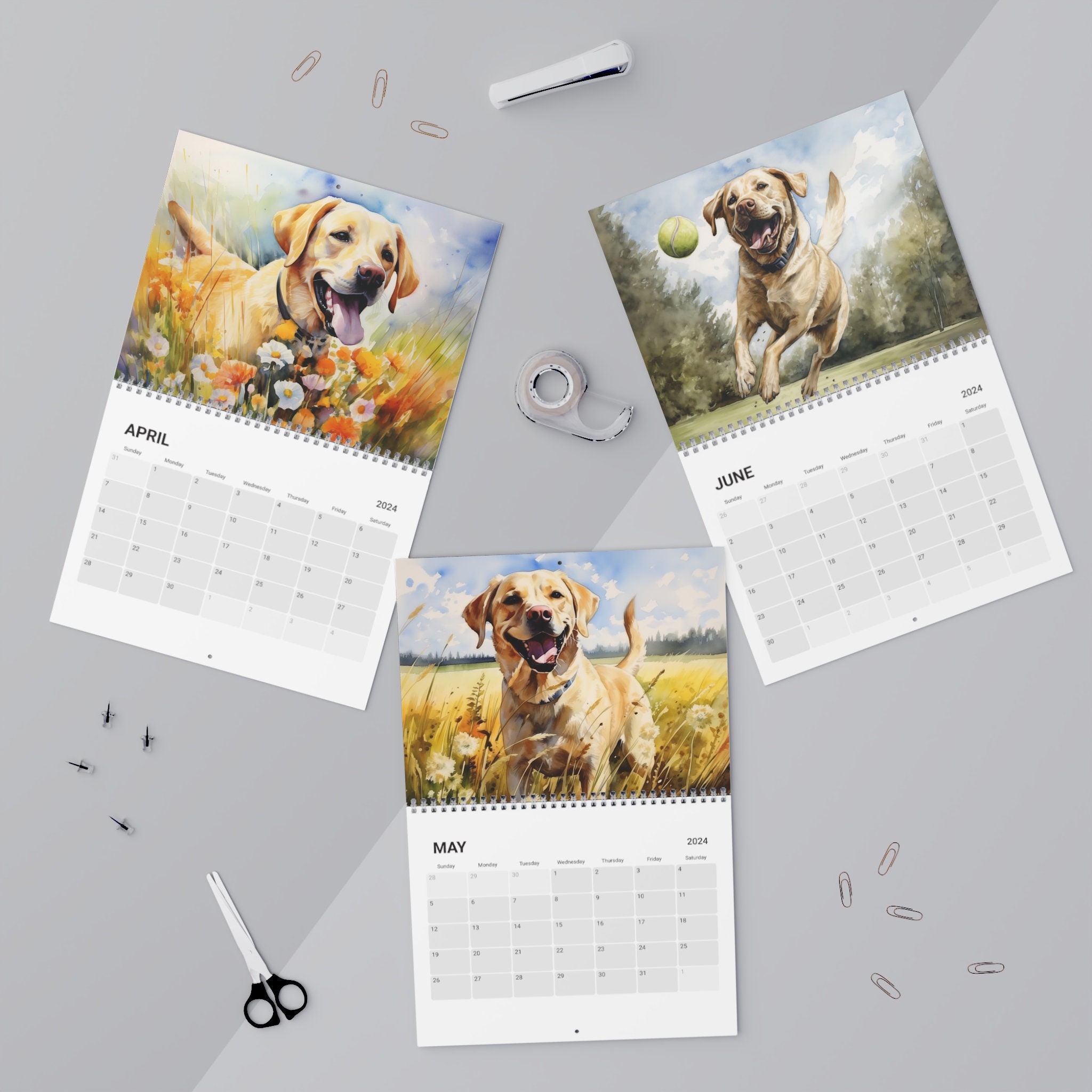 Labrador Calendar 2024 Ideal Gift for Labrador Owners, a Wall Calendar ...