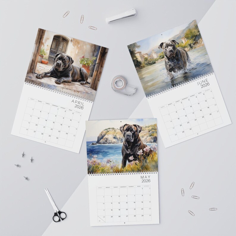 2026 Cane Corso Wall Calendar With 12 Watercolors of Cane Corsos - Etsy