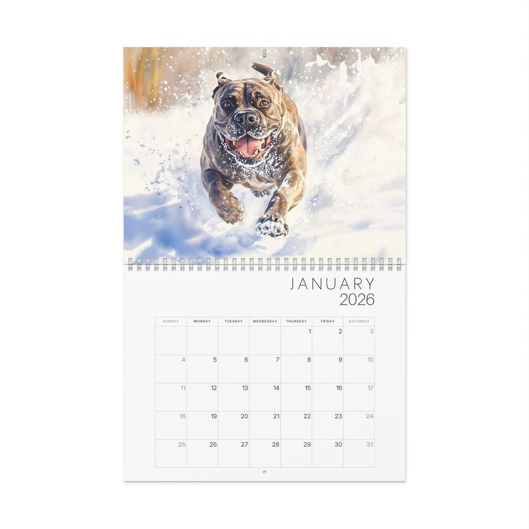2026 Cane Corso Wall Calendar With 12 Watercolors of Cane Corsos - Etsy