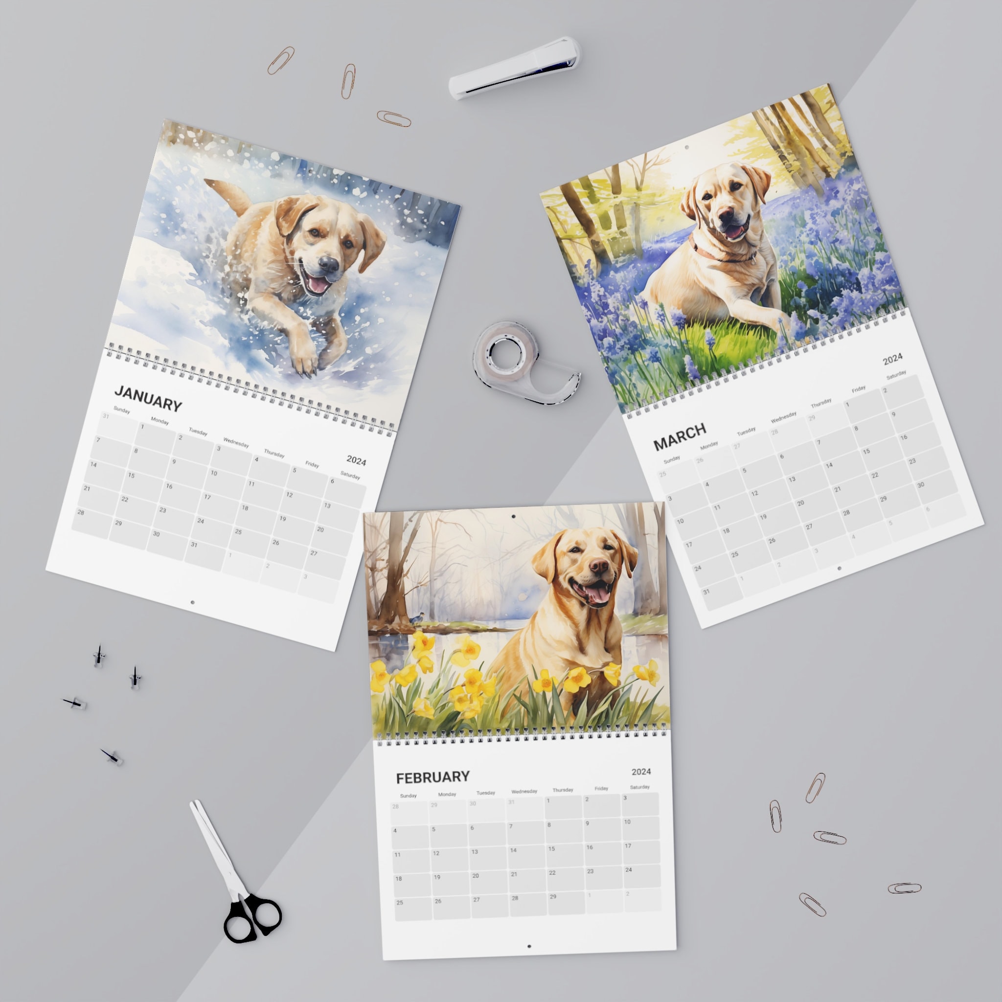 Labrador Calendar 2024 Ideal Gift for Labrador Owners, a Wall Calendar ...