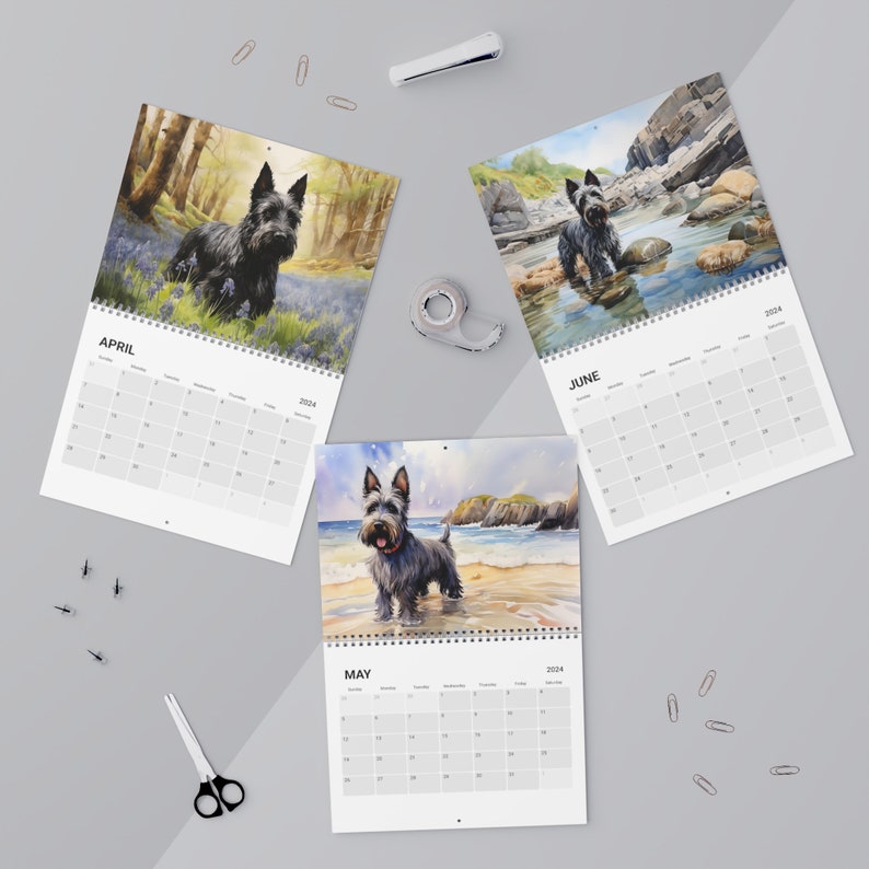 Scottish Terriers Calendar 2024 Ideal Gift for Scottish Terrier Owner ...