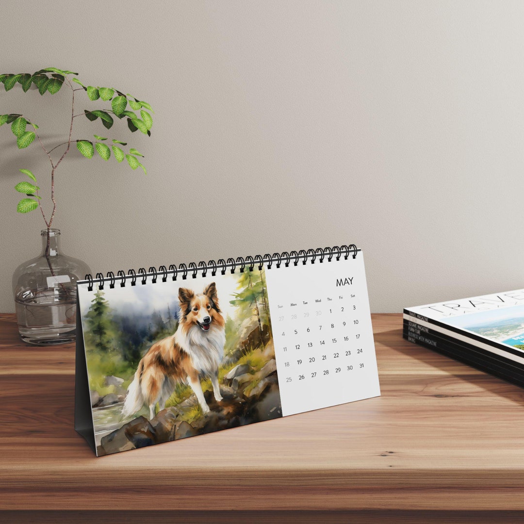 2025 Shetland Sheepdog Desk Calendar - Features 12 Watercolors of ...