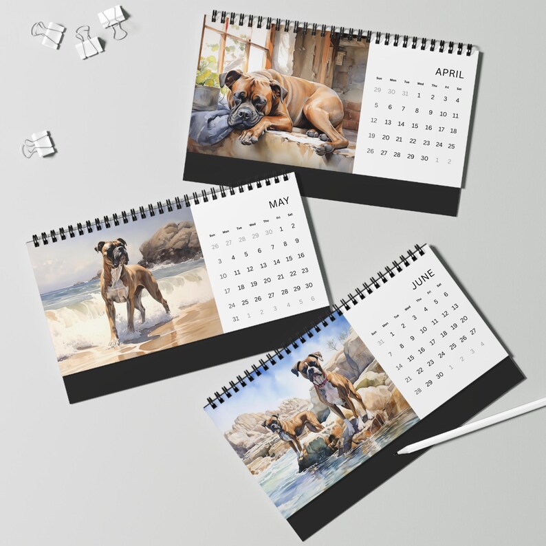 Boxer Dog Desk Calendar - 12 Watercolor Artworks - Printed in USA - Etsy
