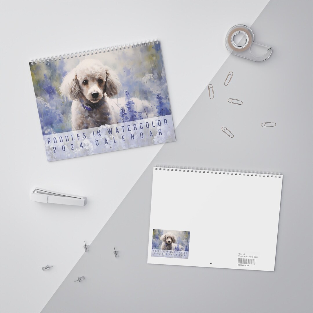 Poodle Calendar 2024 Ideal Gift for Poodle Owner, a Wall Calendar ...