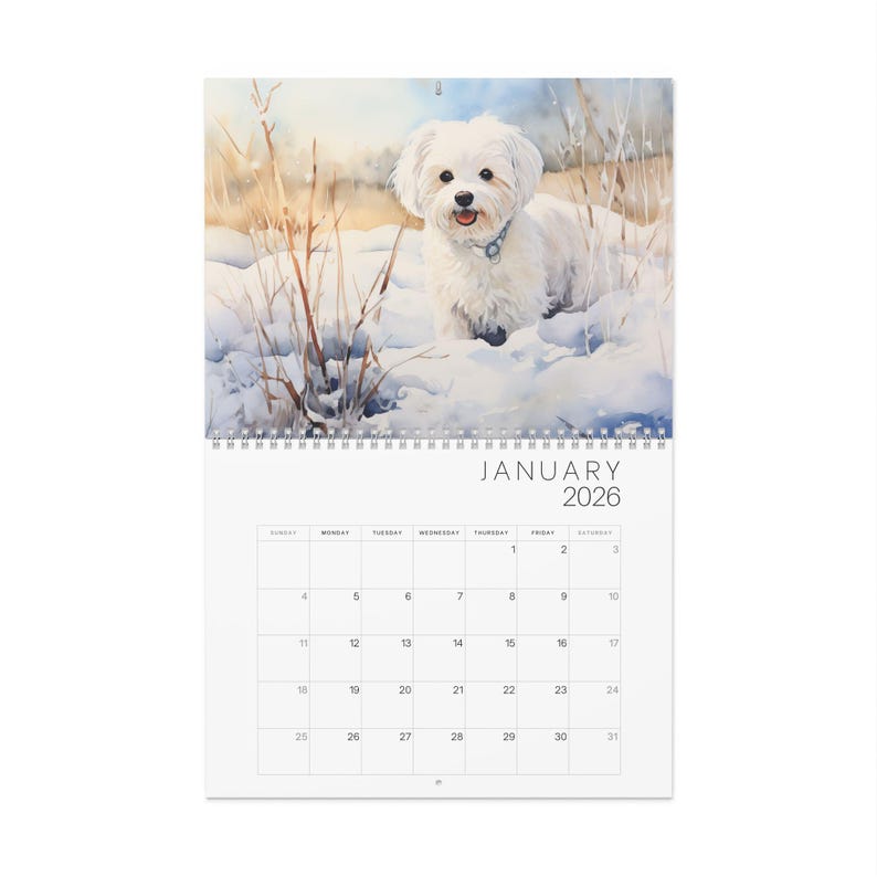 Maltese Wall Calendar - 2026 Calendar With 12 Watercolors of Maltese ...