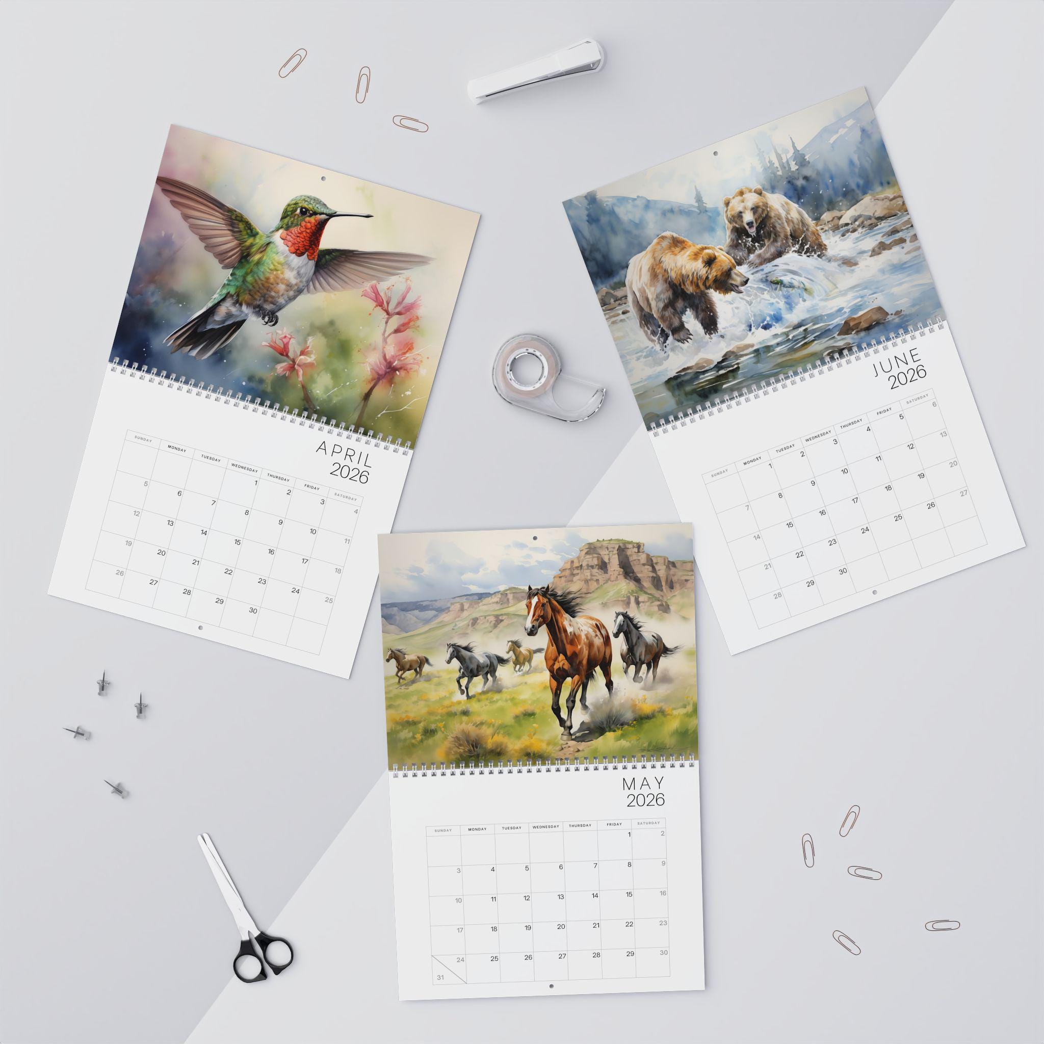 Wild America Wall Calendar 2026 - 12 Wildlife Watercolors of Wild US ...