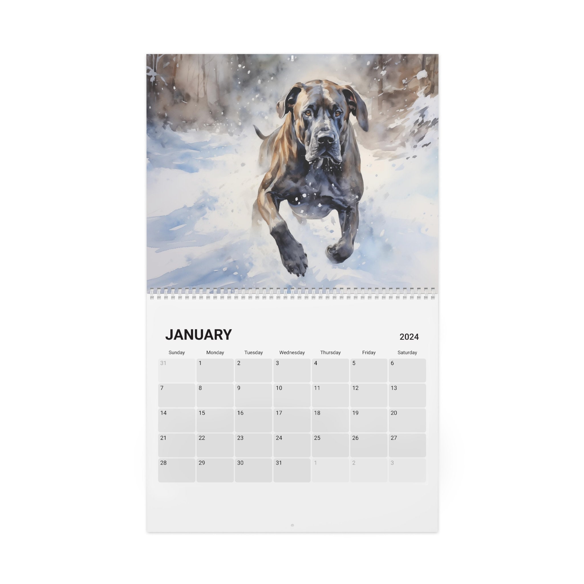 Great Dane Wall Calendar 2024 Gift for Great Dane Owner, 12 Beautiful ...