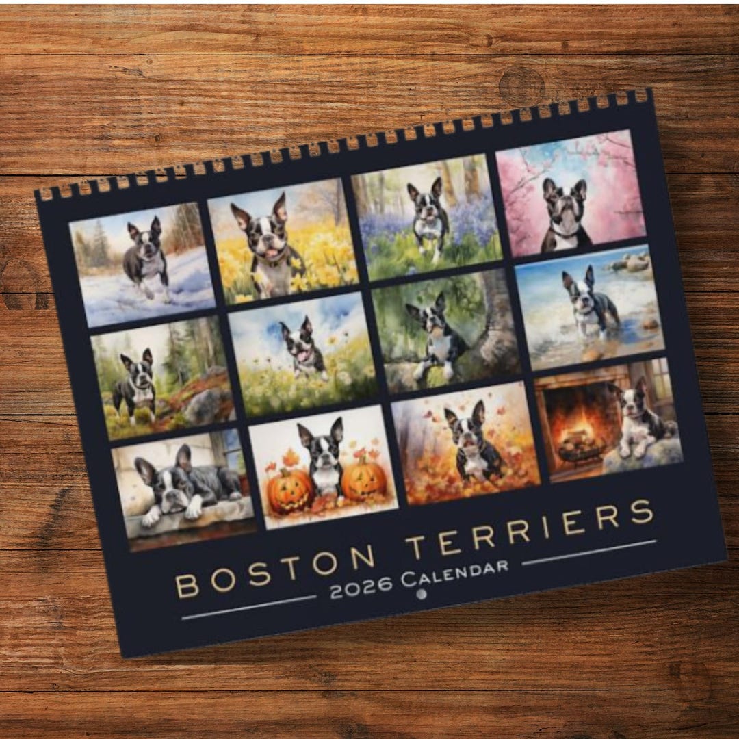 2026 Boston Terrier Wall Calendar With 12 Watercolors of Boston ...