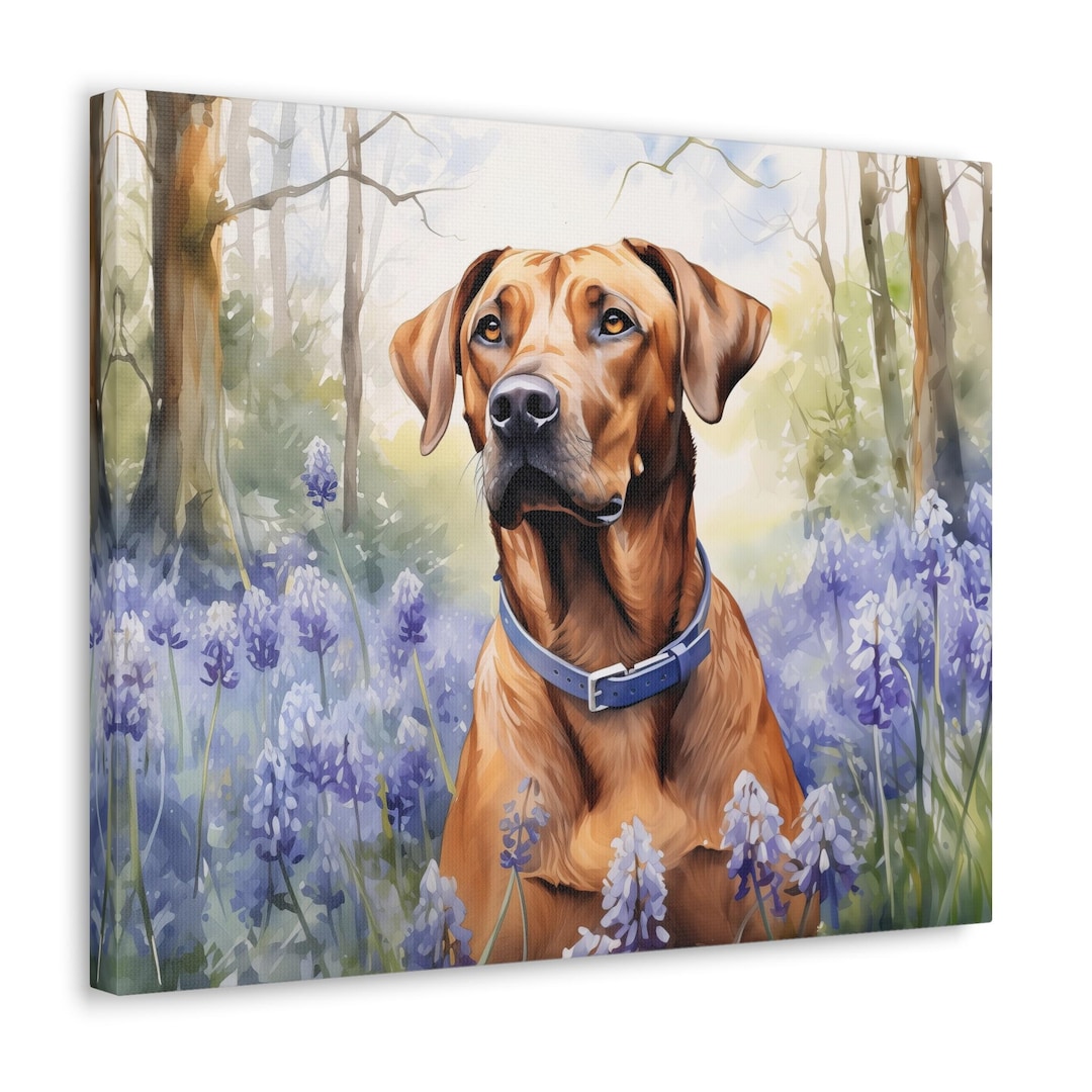 Rhodesian Ridgeback Watercolor Canvas Print - Wall Art Gift for ...