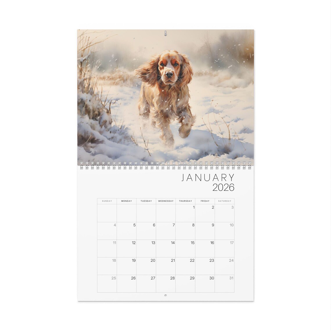 Cocker Spaniel 2026 Wall Calendar - Dog Calendar Featuring 12 ...
