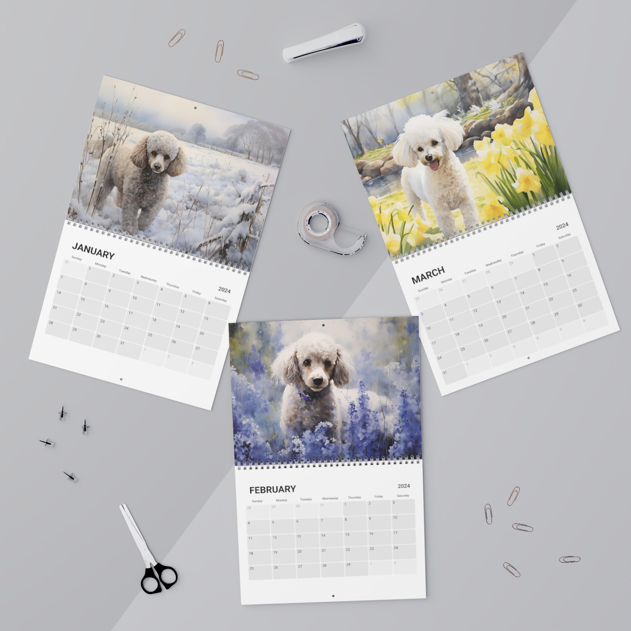 Poodle Calendar 2024 Ideal Gift for Poodle Owner, a Wall Calendar ...