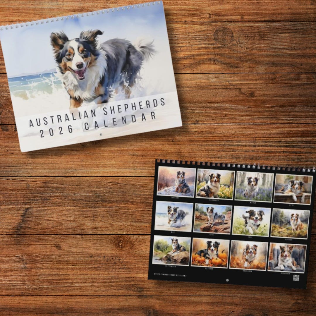 Australian Shepherds 2026 Wall Calendar - Dog Calendar Featuring 12 ...