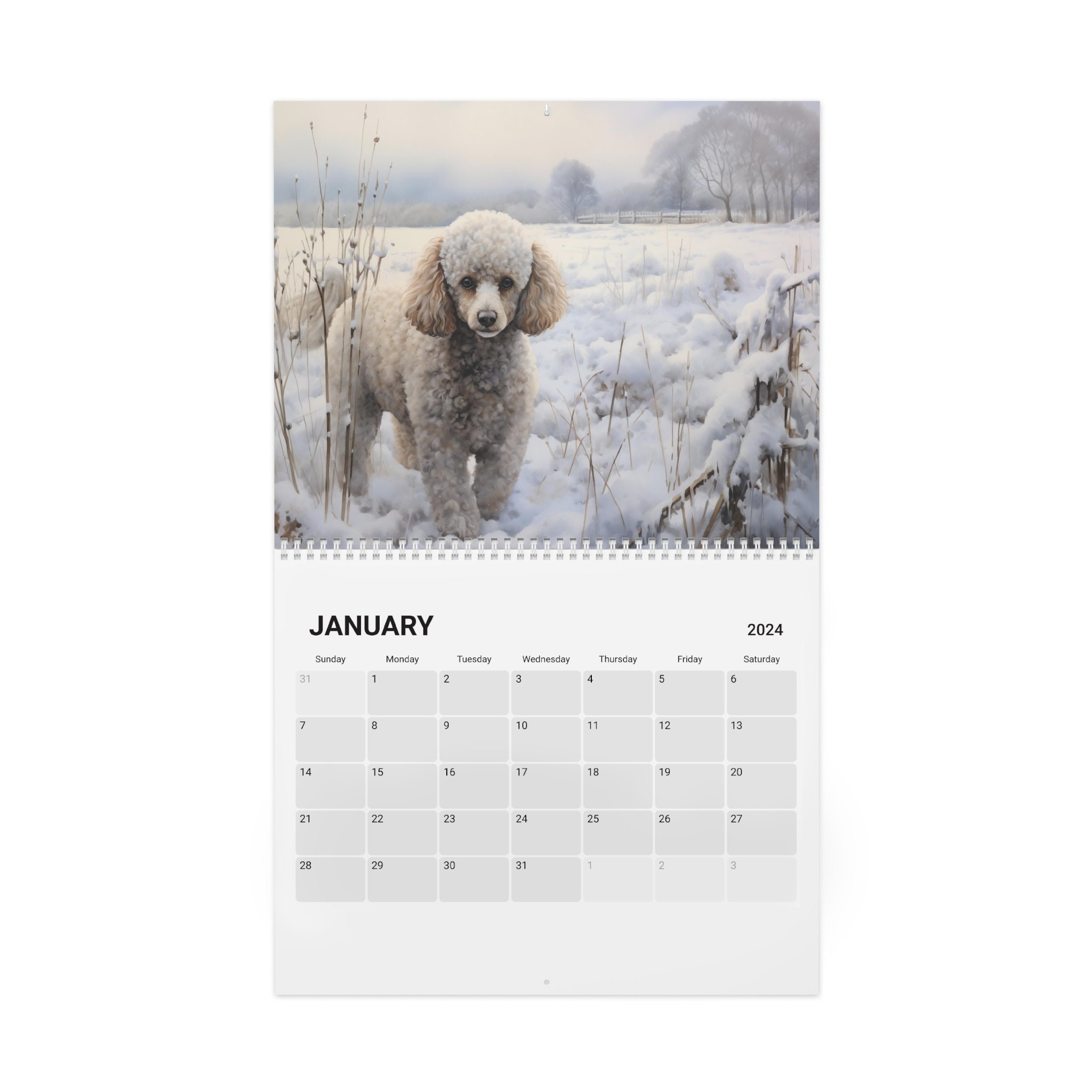 Poodle Calendar 2024 Ideal Gift for Poodle Owner, a Wall Calendar ...
