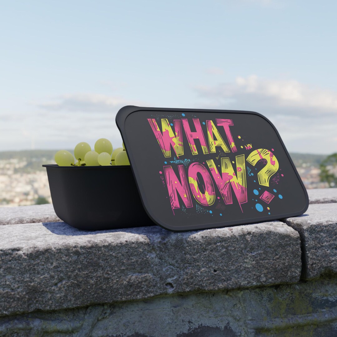 WHAT NOW? PLA Bento Box - Single-compartment Lunch Box With Rubber Band ...