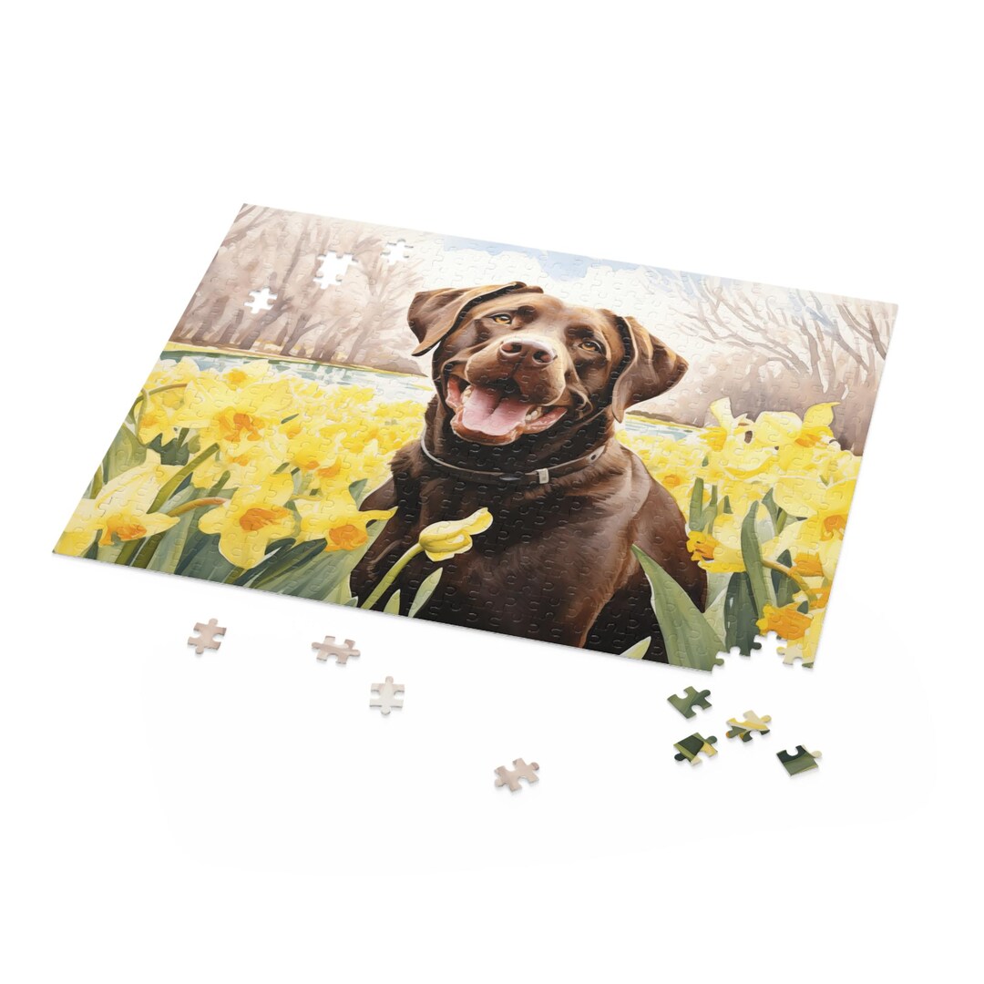 Chocolate Labrador and Daffodils Jigsaw Puzzle (120, 252, 500-piece ...