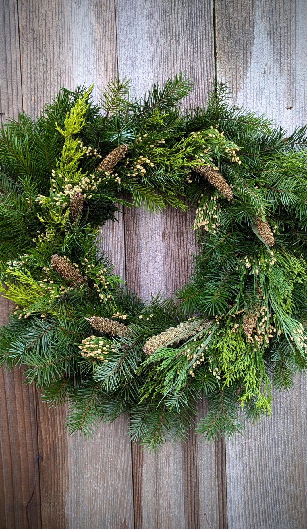 Large Live Holiday Wreath, Fir & Millet - Etsy