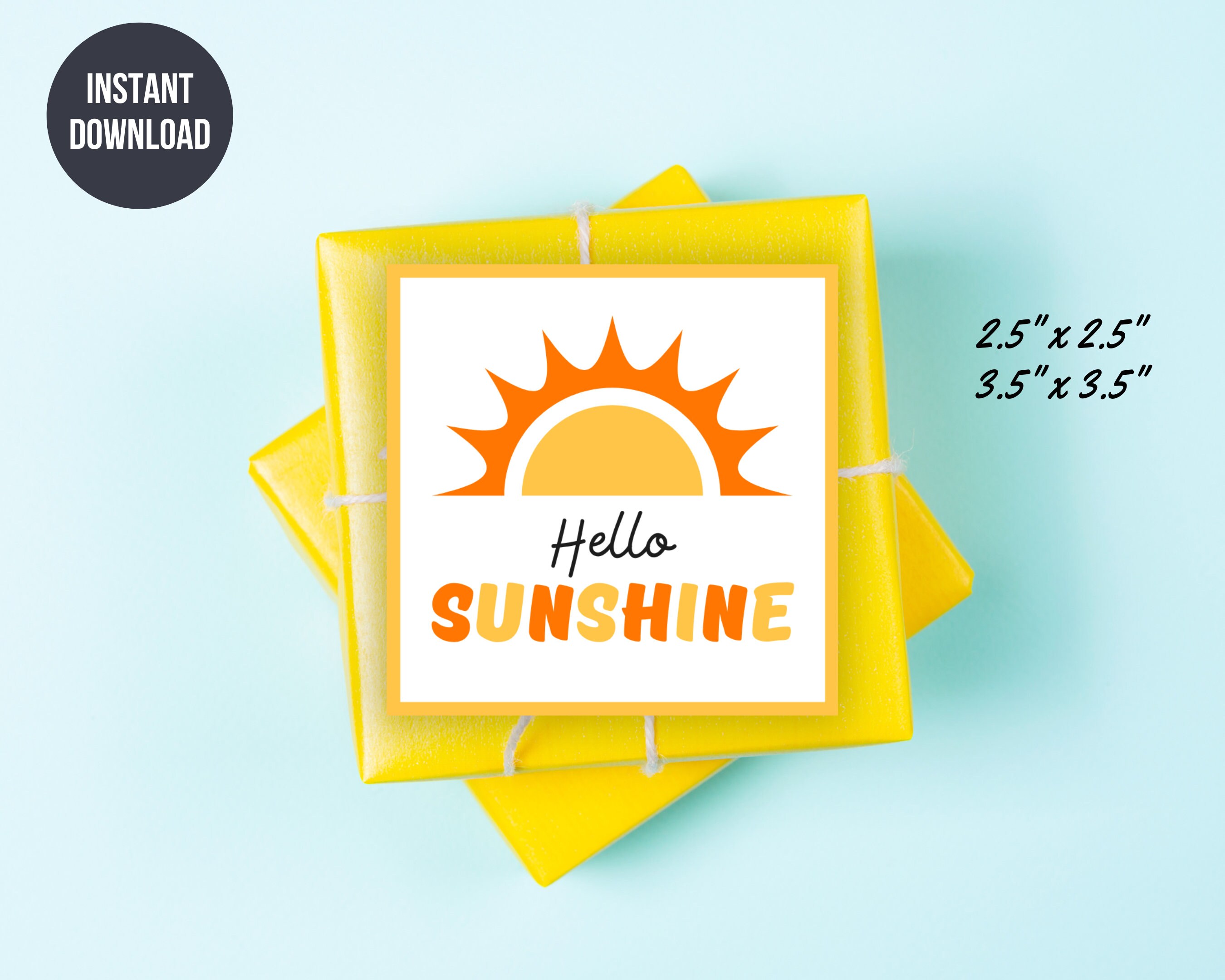Printable Hello Sunshine Gift Tag, Box of Sunshine, Thinking of You ...