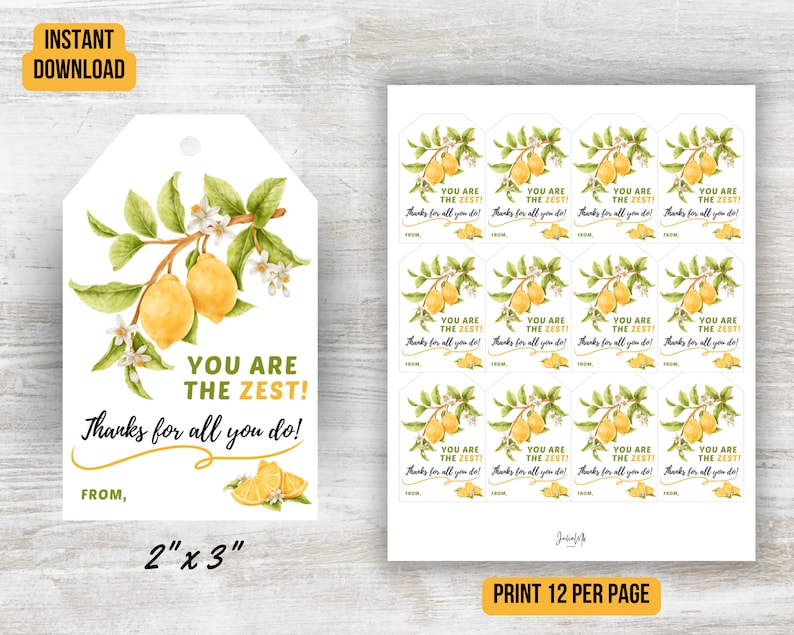 Printable You Are the Zest Thank You Gift Tag, Lemon Thank You Gift Tag ...