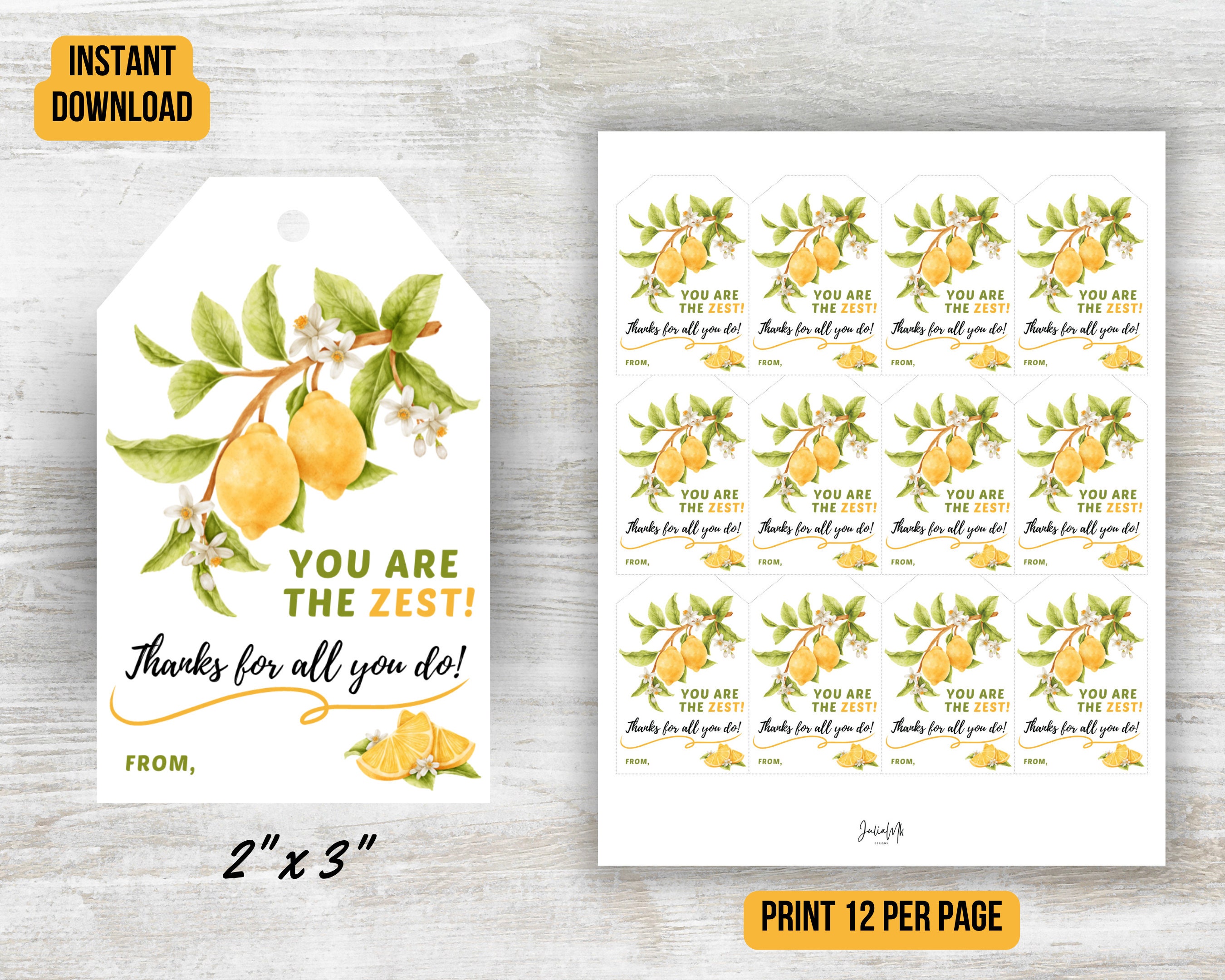 Printable You Are the Zest Thank You Gift Tag, Lemon Thank You Gift Tag ...