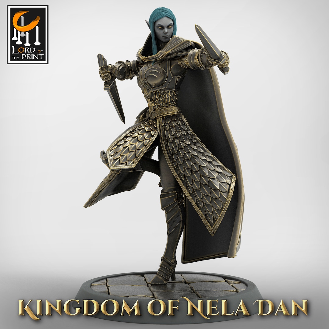 Dual Dagger Elf Female Soldier Kingdom of Nela Dan Lord of the Print 1 ...