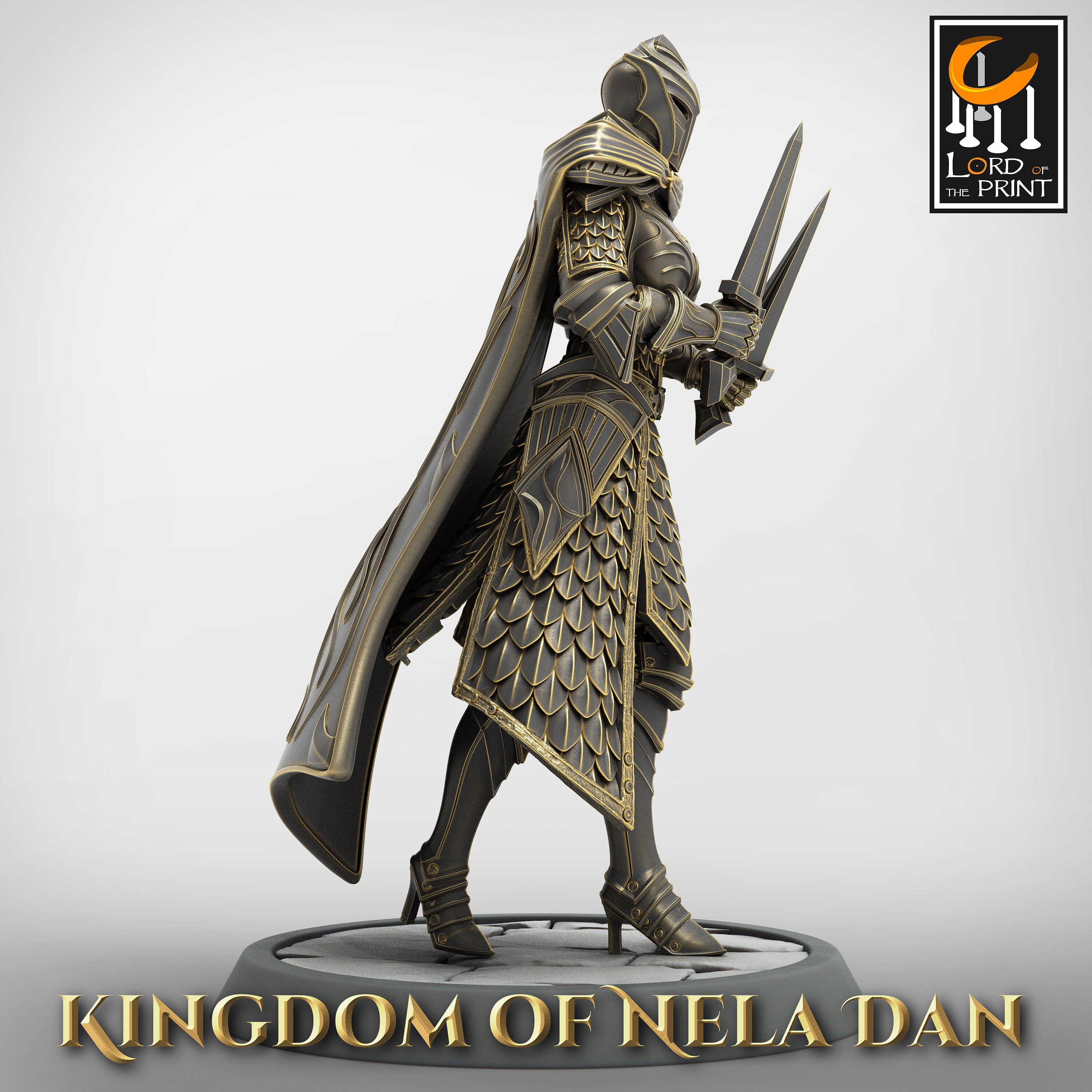 Dual Dagger Elf Female Soldier Kingdom of Nela Dan Lord of - Etsy