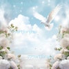 In Loving Memory White Angel Wings in a Dreamy Haven PNG, Memorial ...