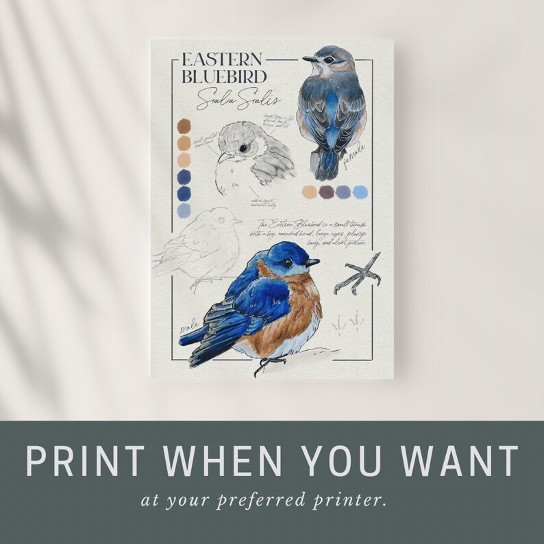 Bluebirds Art Printable Eastern Bluebird Print Nature Artwork Wildlife ...