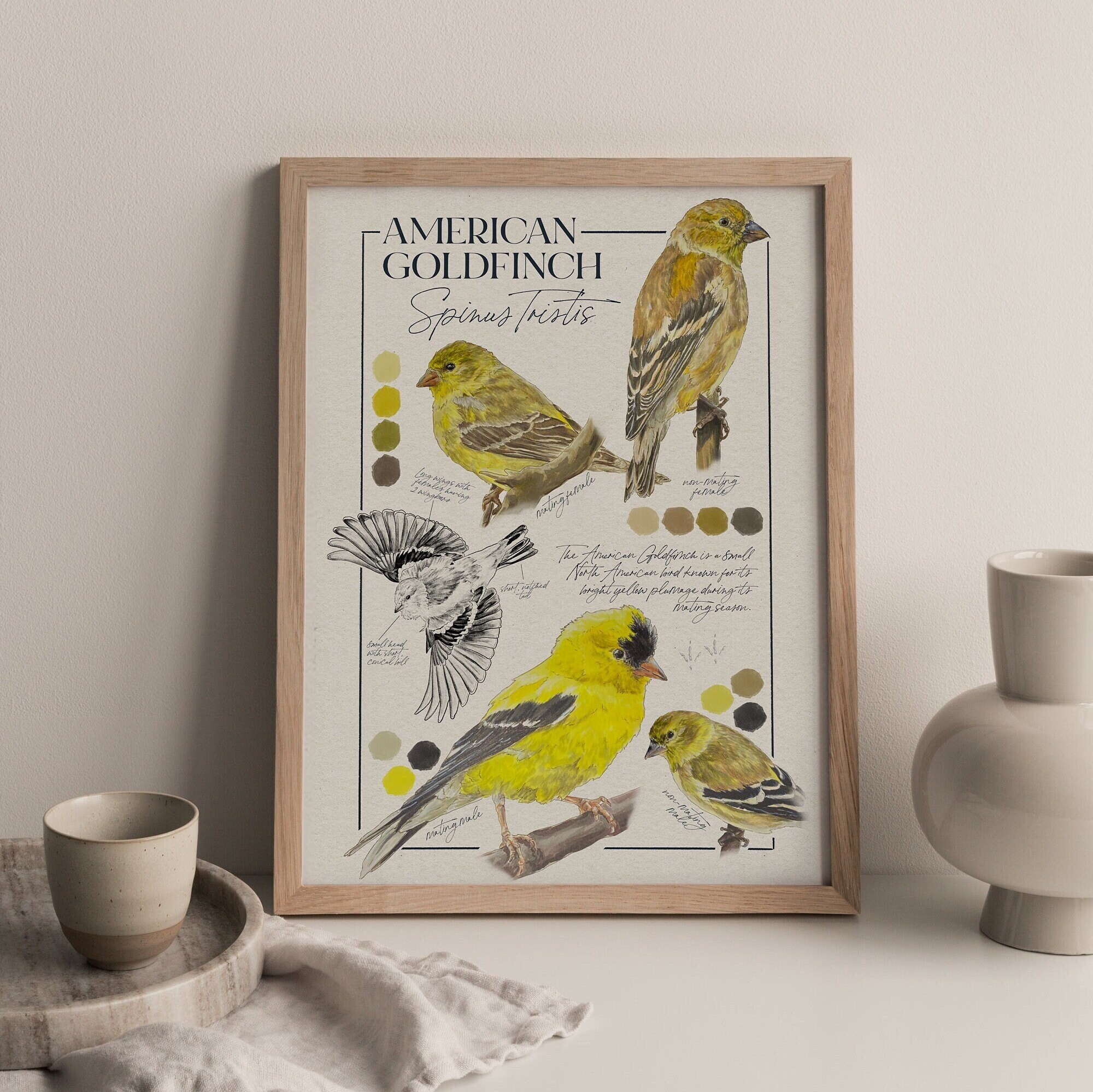 Goldfinch Art Print Bird Drawing American Goldfinch Illustration ...