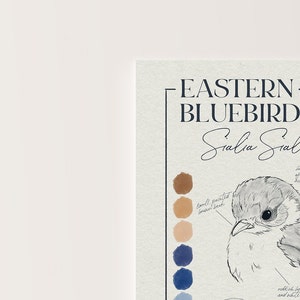 Bluebirds Art Printable Eastern Bluebird Print Nature Artwork Wildlife ...