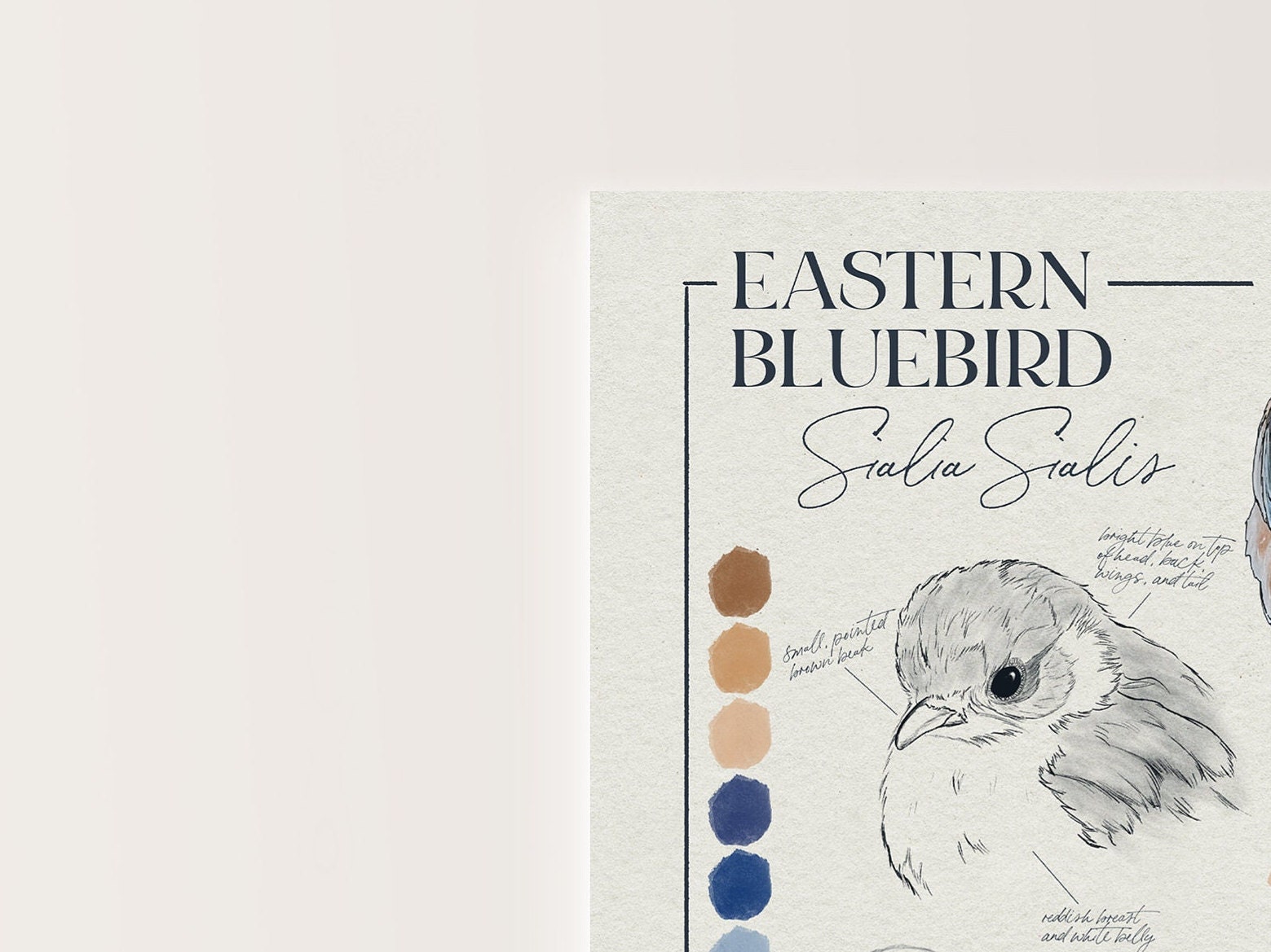 Bluebirds Art Printable Eastern Bluebird Print Nature Artwork Wildlife ...