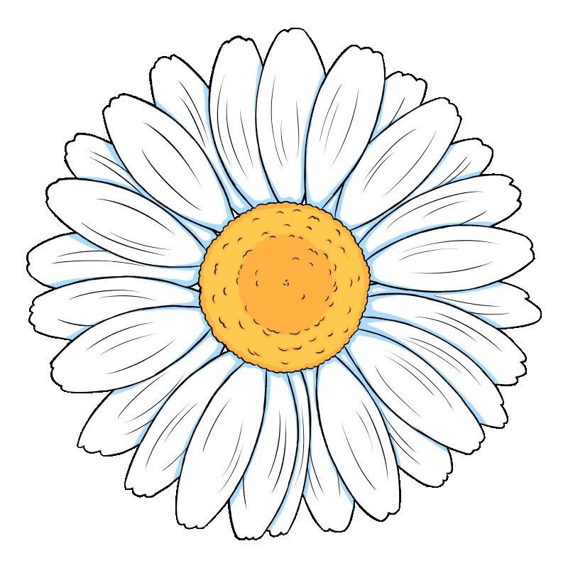 Daisy Digital Clip Art Digital Sticker - Etsy