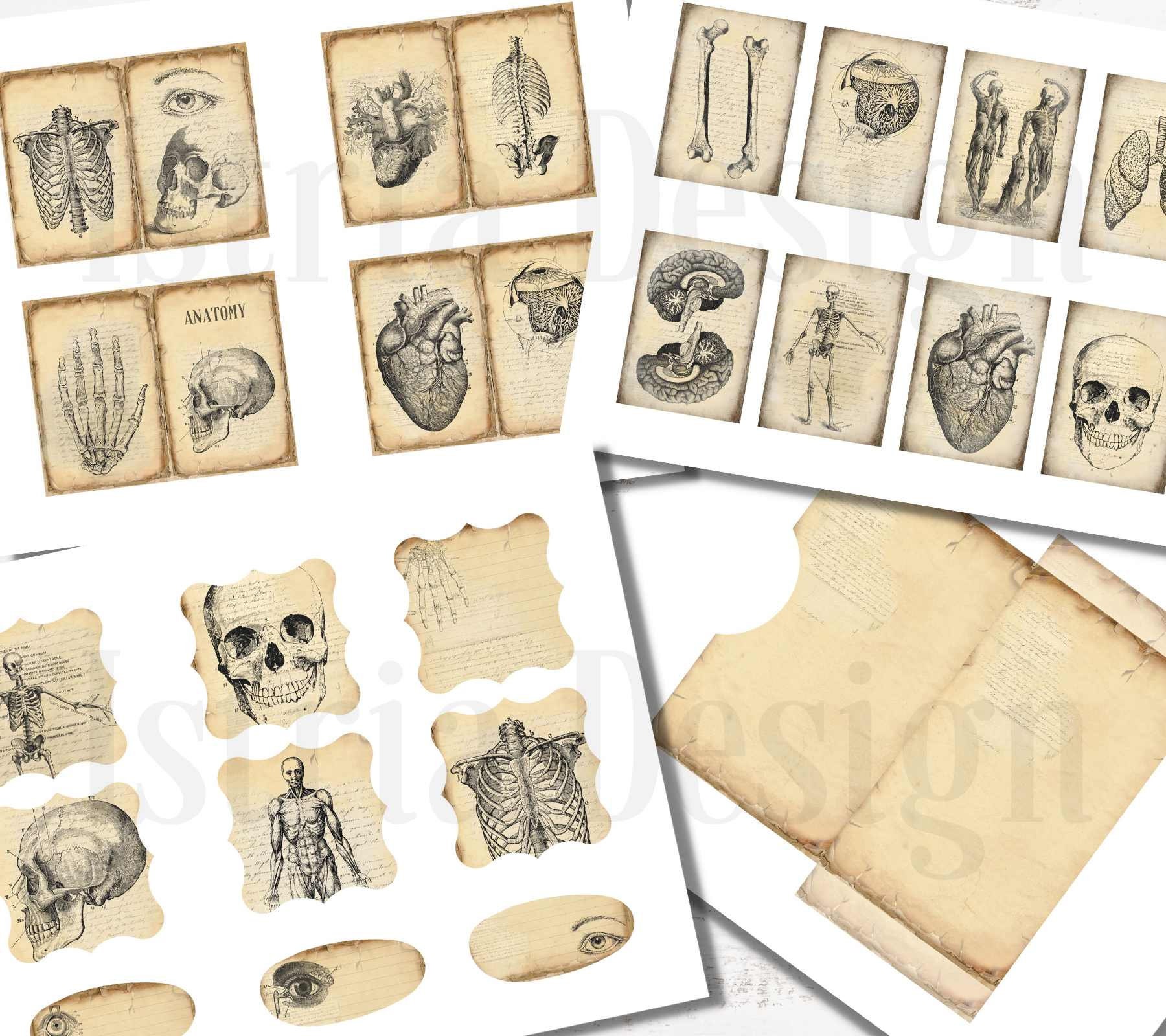 Gothic Junk Journal Kit, Human Anatomy Printable, Vintage Ephemera ...