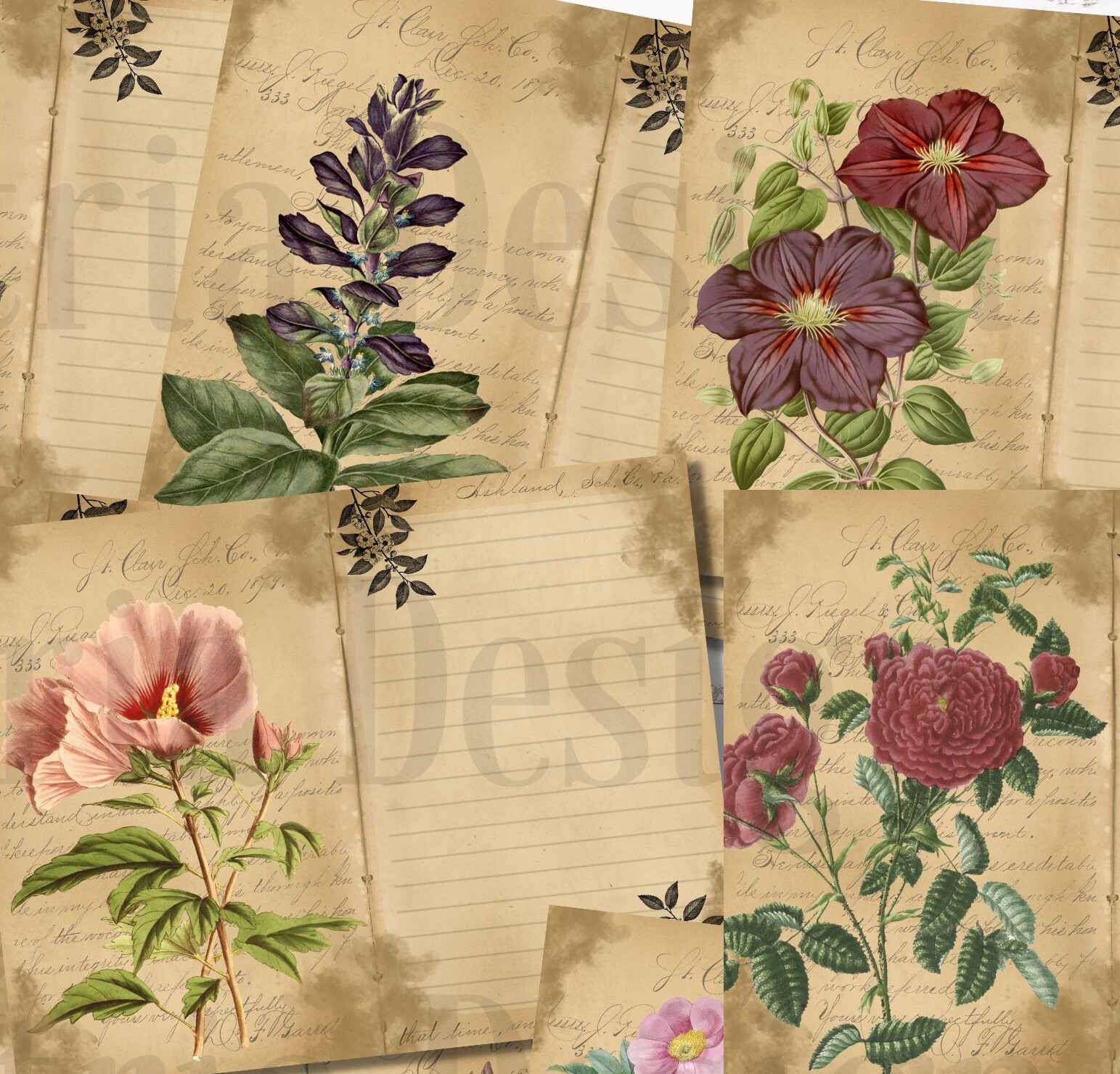 Vintage Flowers Journaling Pages, Floral Ephemera, Lined Papers, Garden ...