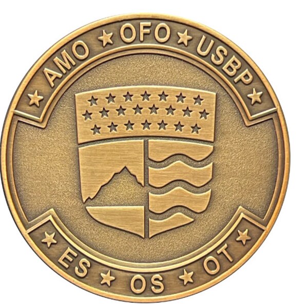 Homeland Security Challenge Coins - Etsy
