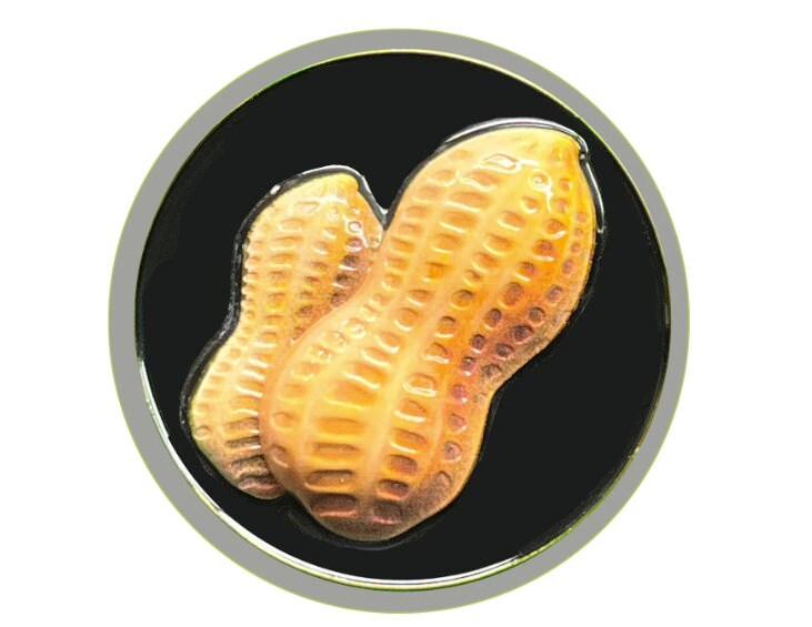 Deez Gag Gift Challenge Coin Thin Gray Line Gift for CO Correctional ...