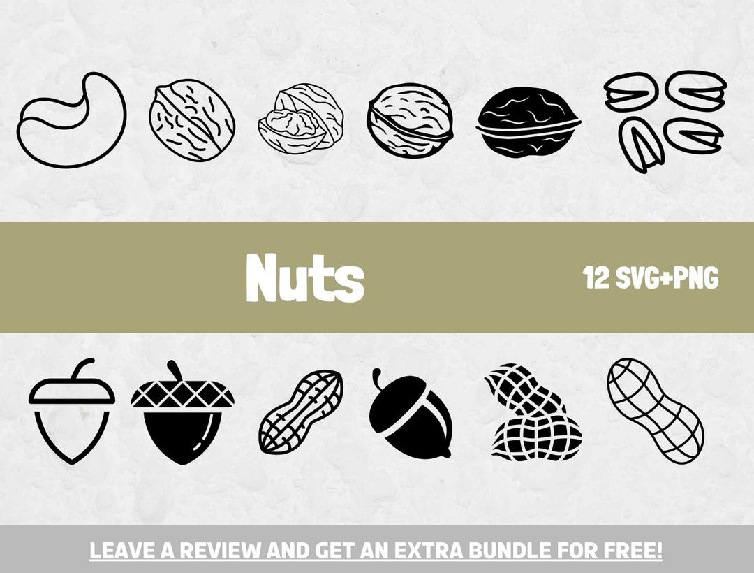 Nuts SVG Bundle SVG Files for Cricut Nut Clipart Nature - Etsy