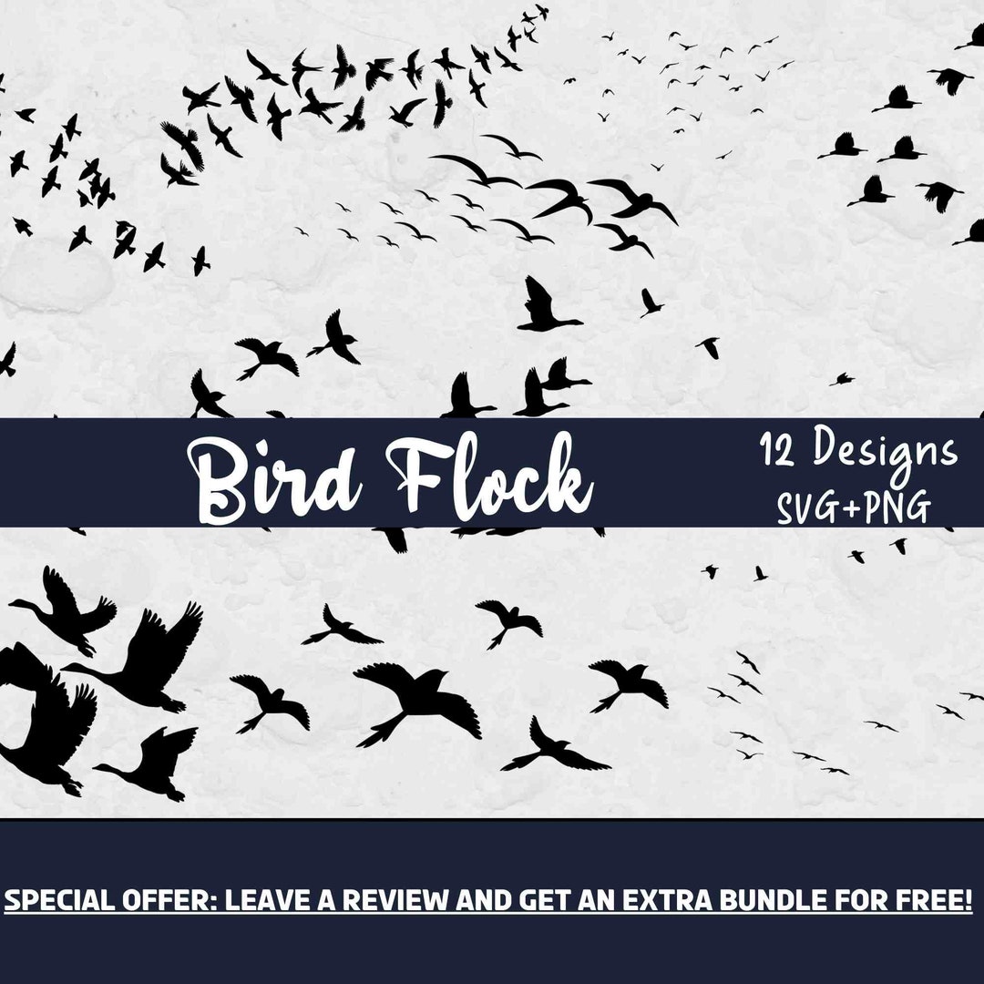 Bird Flock Svg, SVG Files for Cricut, Bird Svg, Birds Svg, Flying Birds ...
