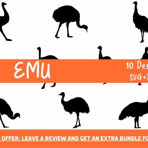 Emu Svg Cut Files, Emu Vectors, Svg Files for Cricut, Zoo Svg ...